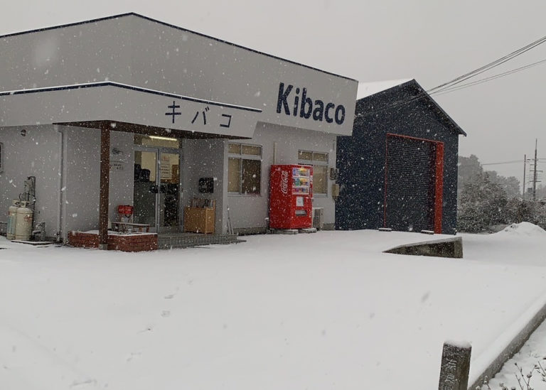 年末のご挨拶 （改修完了と子猫） – Kibaco